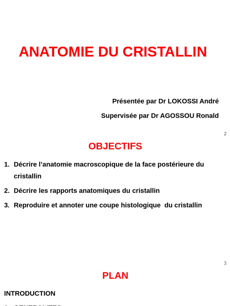 Anatomie du Cristallin: Structure et Rôle | PDF | Épithélium ...