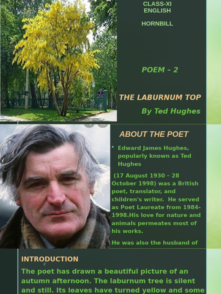 The Laburnum Top-1 | PDF