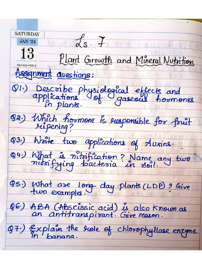 STD 12 Ls 7 Plant Growth and Mineral Nutrition (Bio Assignment) | PDF