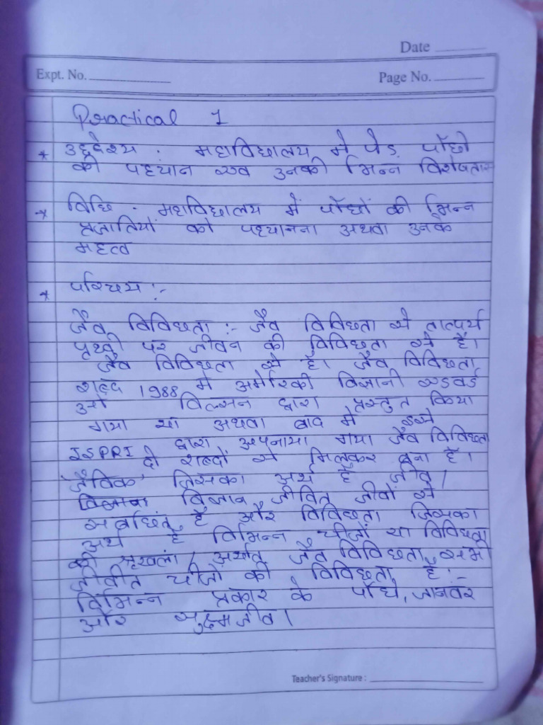 EVs 3 Prectical File | PDF