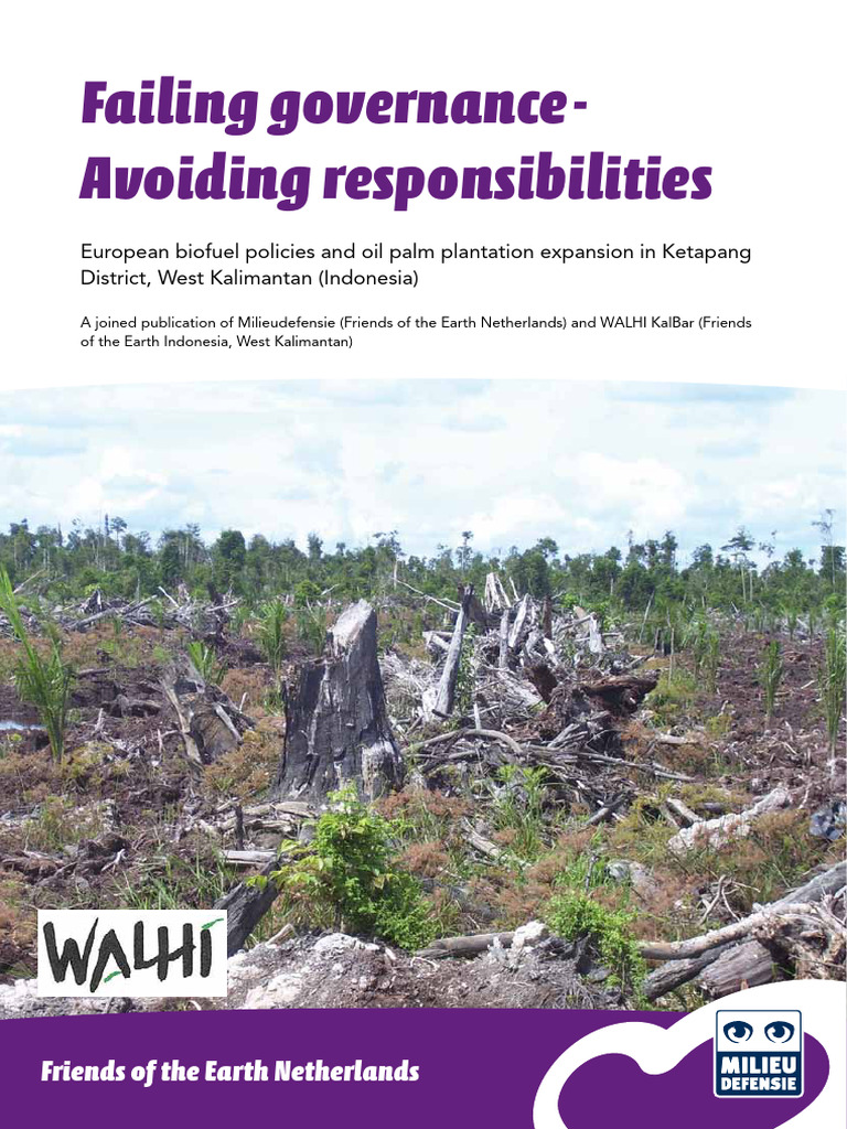 Failing Governance - Avoiding Responsibilities | PDF | Palm Oil | Bioenergy