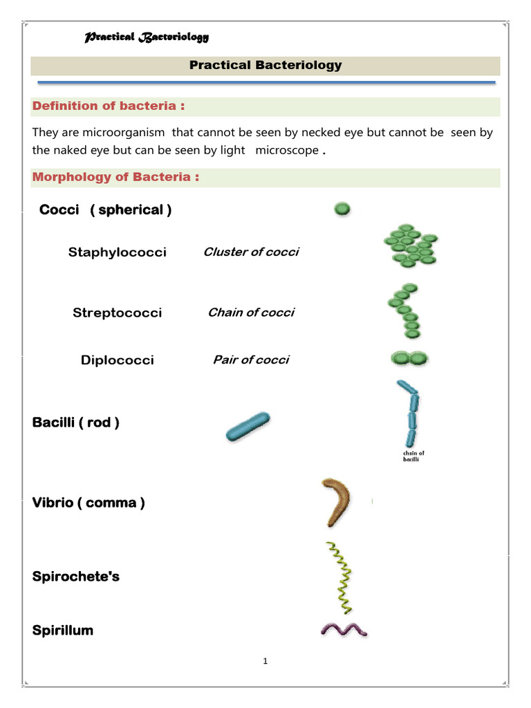 Practical Bacteriology Techniques Guide | PDF | Sterilization ...