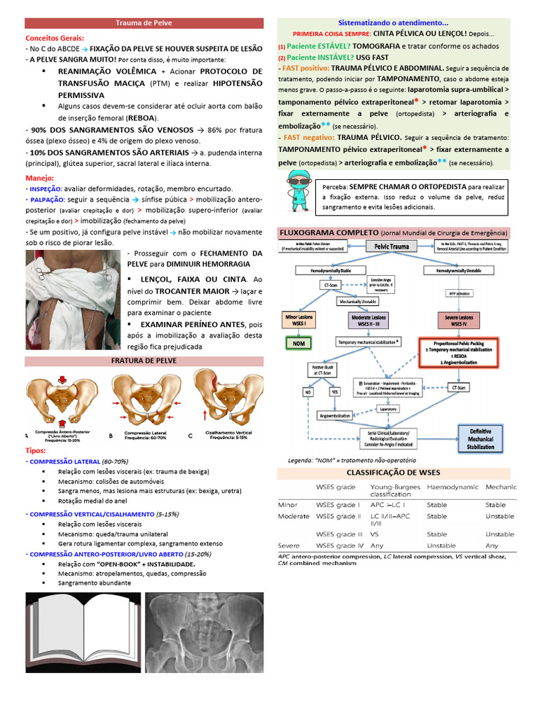 ATLS- Trauma Pelvico | PDF | Pélvis | Especialidades cirúrgicas