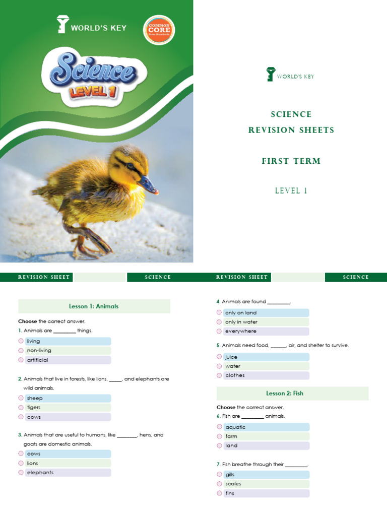 science1 | PDF | Plants | Flowers