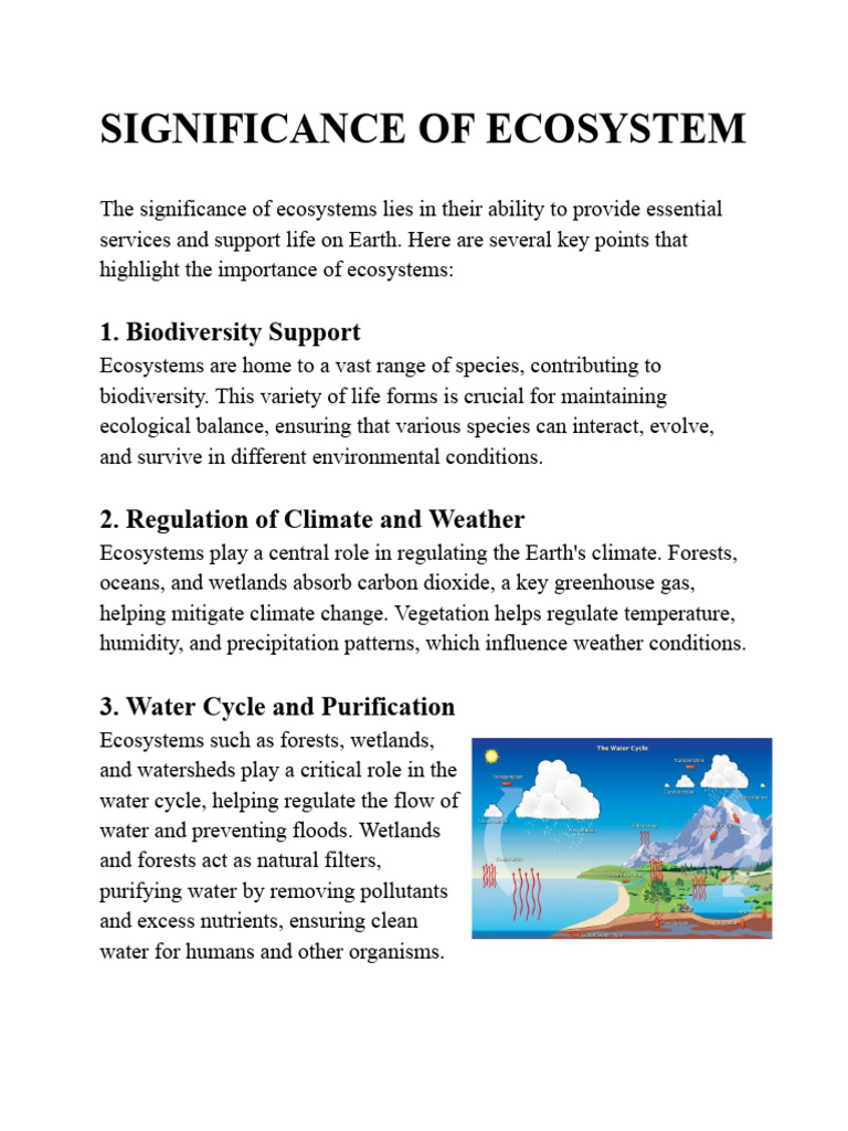 Importance of Ecosys | PDF | Ecosystem | Predation