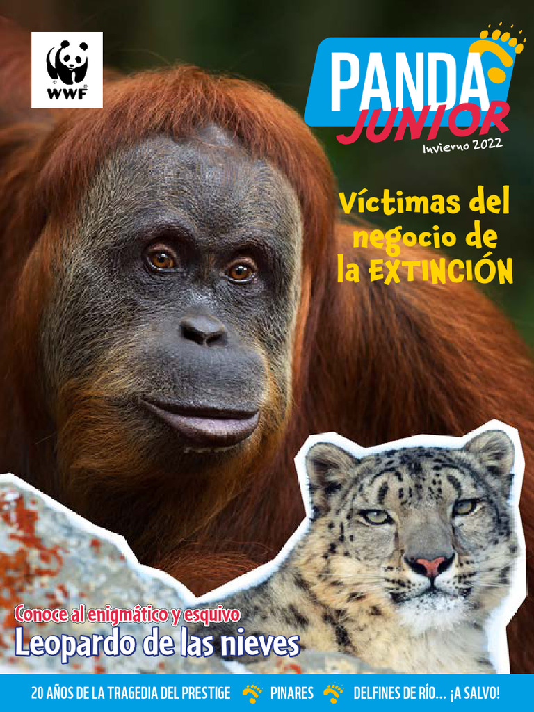 Panda Junior 51 | PDF | Agricultura | Aves