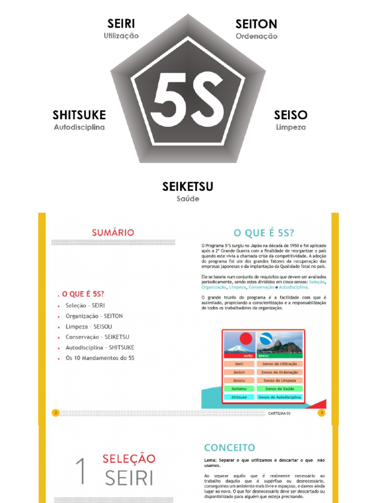 5S Cartilha | PDF