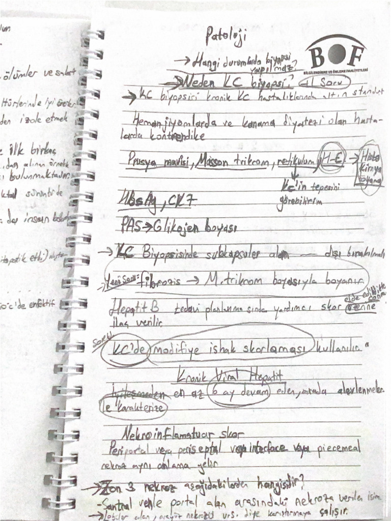 Taranmış Belge 16.12.2024 19.14.44 | PDF