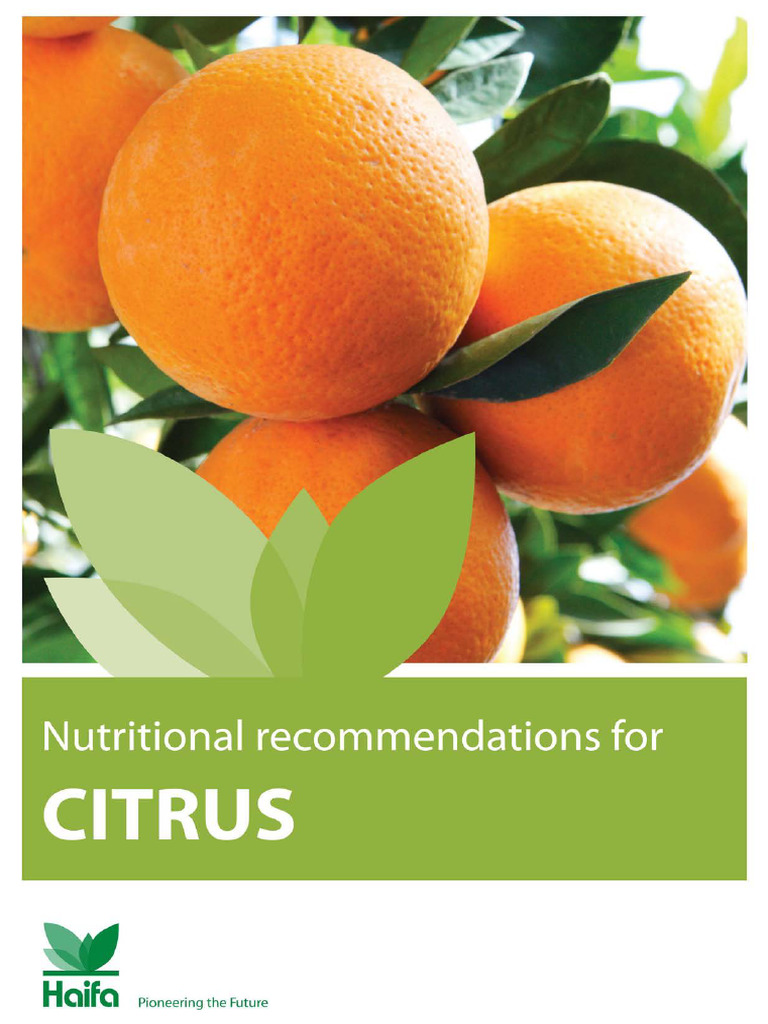 Citrus | PDF | Plant Nutrition | Citrus