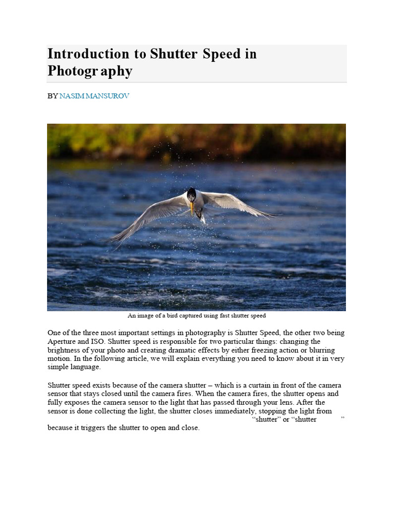 INTRODUCTION TO EXPOSURE | PDF | Shutter Speed | Aperture