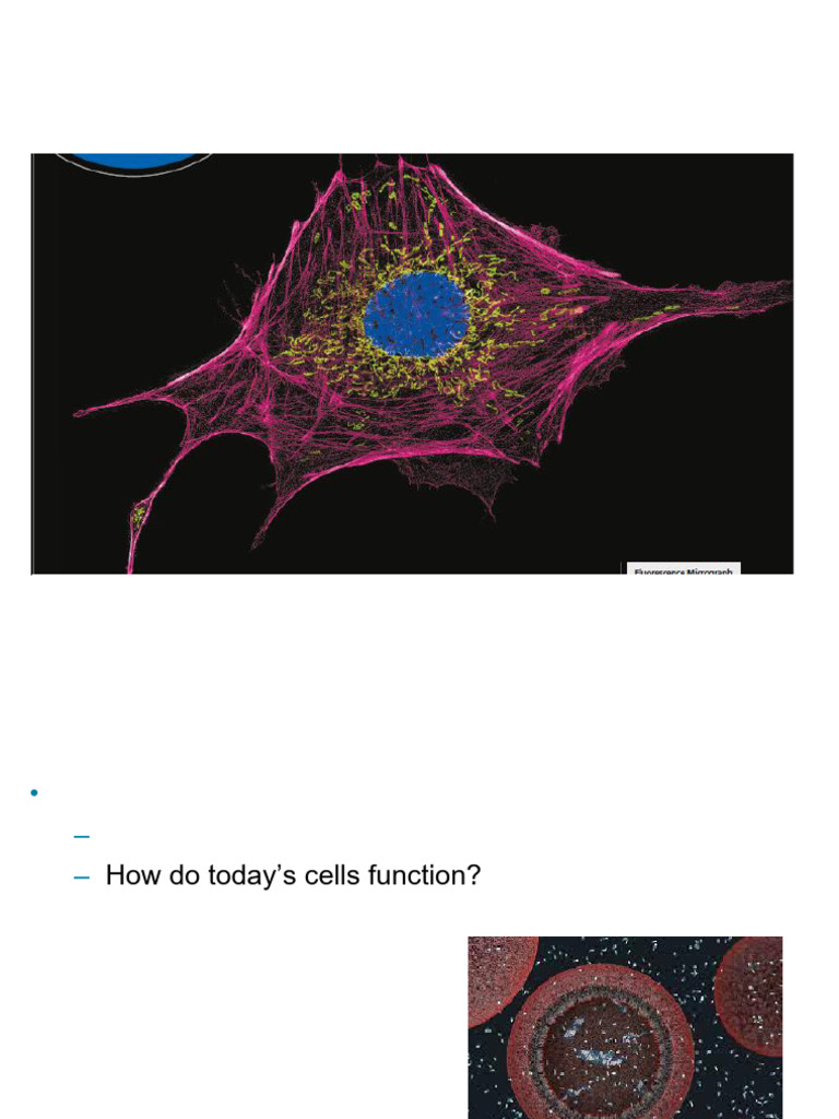 2-Origin and Evolution of Cells | PDF | Eukaryotes | Cell (Biology)