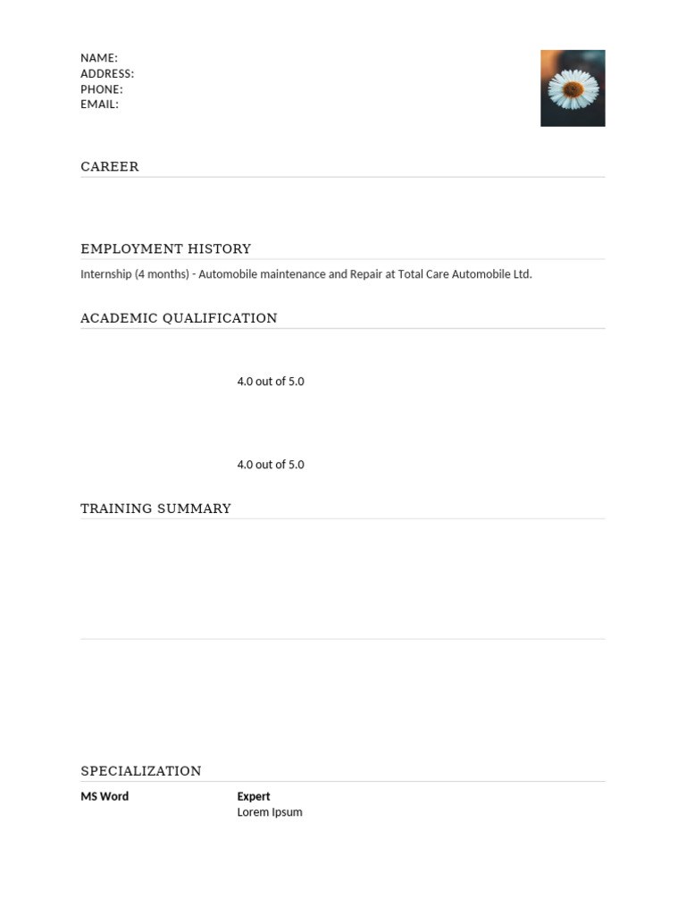 CV Sample | PDF