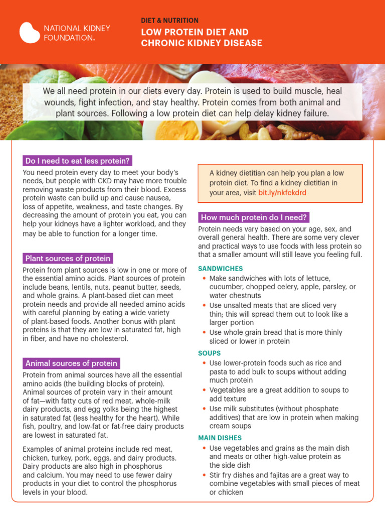 Low Protein Diet for Kidney Health | PDF | Foods | Meat