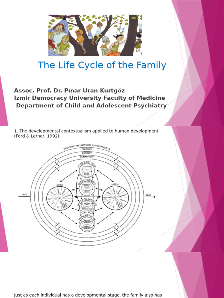 Lesson 3-Life Cycle of The Family | PDF | Family | System