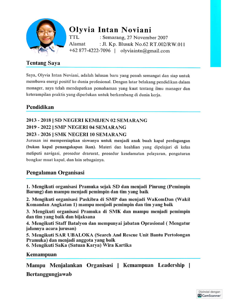 Surat Lamaran Dan CV | PDF