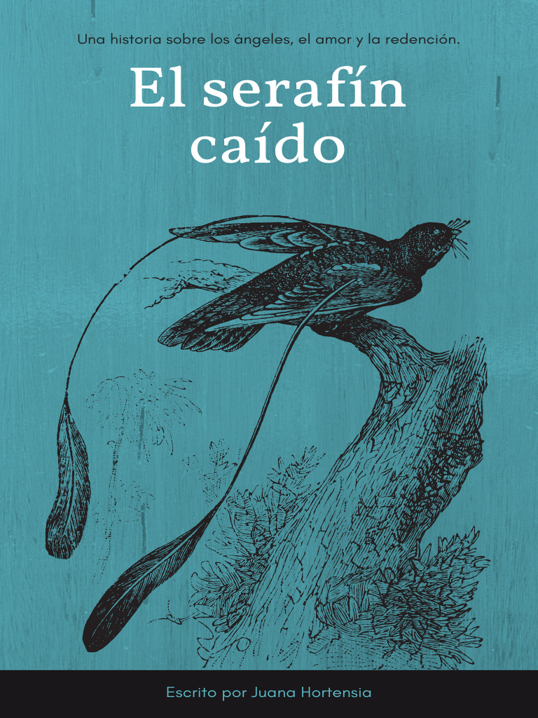Una Portada de Libro | PDF