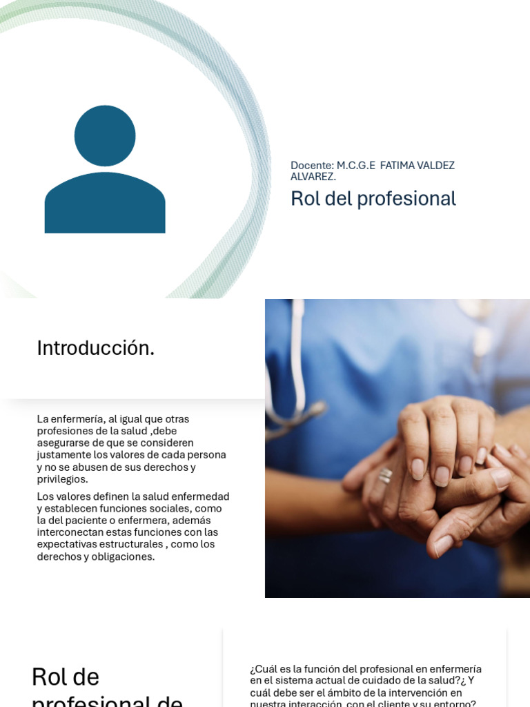 2_Rol Del Profesional | PDF | Enfermería