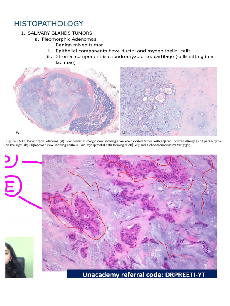 HISTOPATHOLOGY | PDF