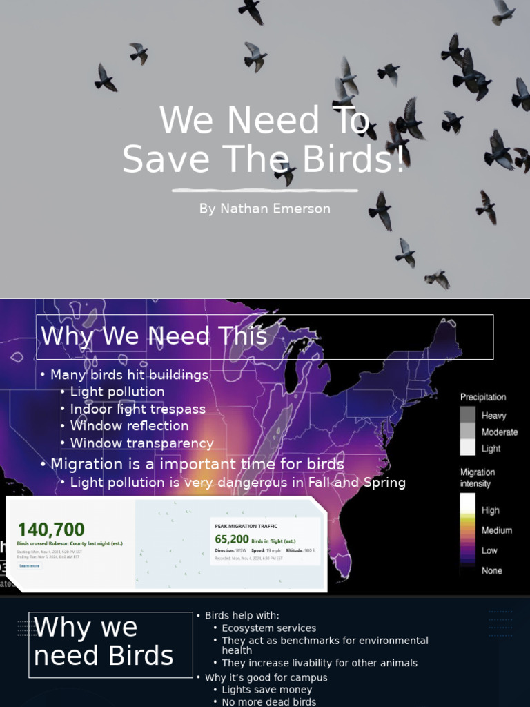 Save Birds: Combat Light Pollution Now | PDF