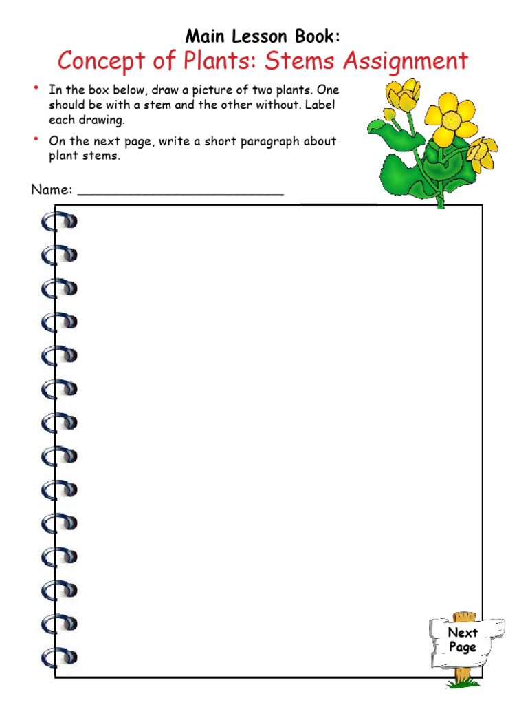 Plant Stems Assignment Guide | PDF