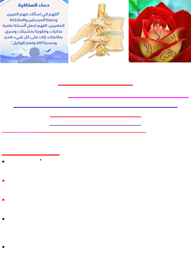 L11 Injuries To Bones & Joints | PDF | Vertebral Column | Concussion