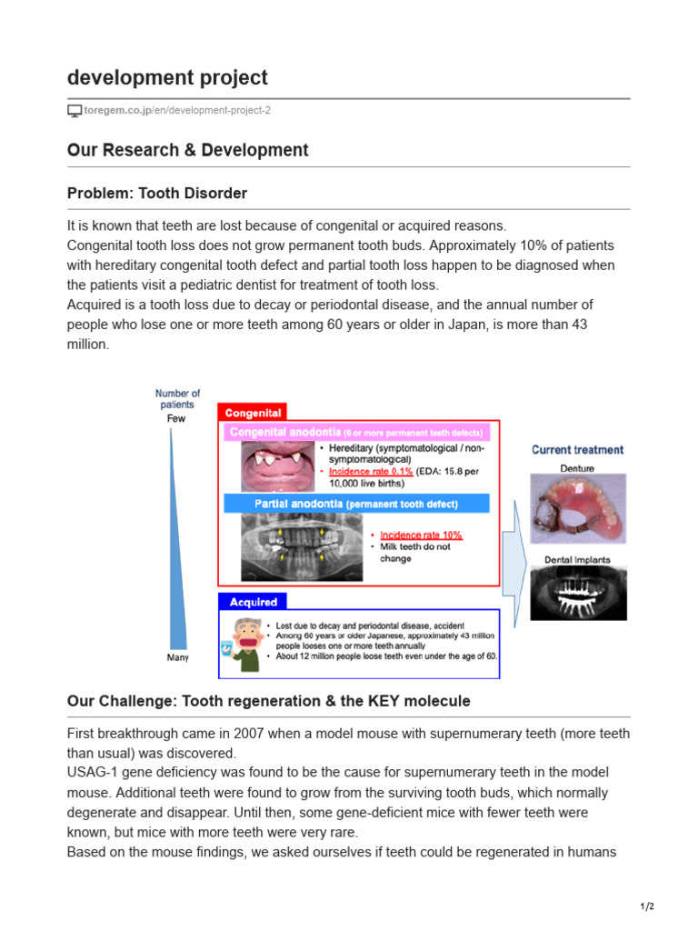 toregem.co.jp-development project | PDF