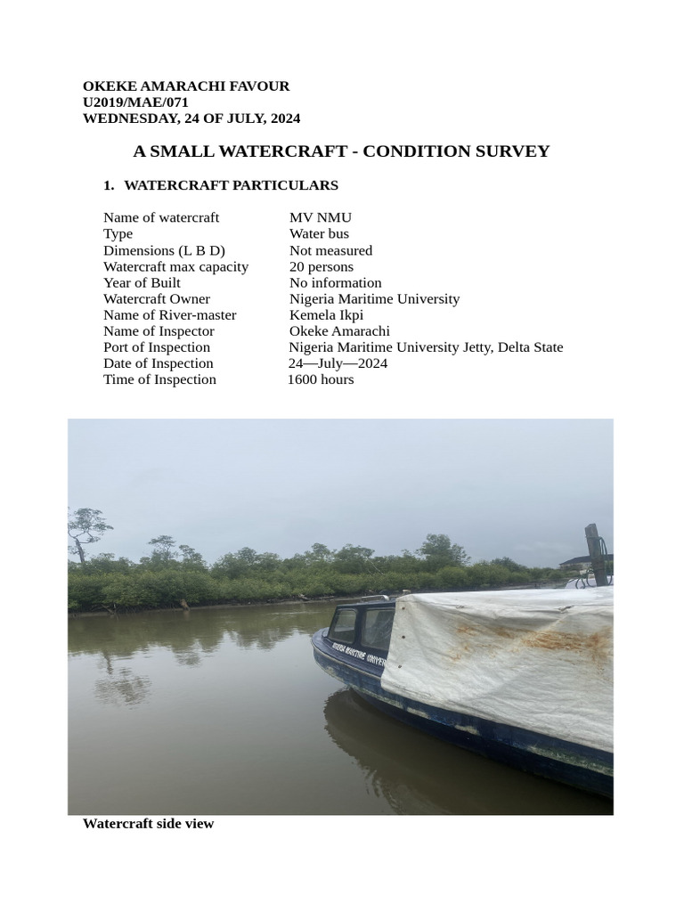 Marine Survey Report (Review) | PDF | Bus | Ships