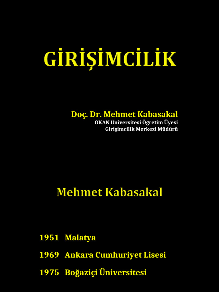 Girisimcilik 2024 | PDF