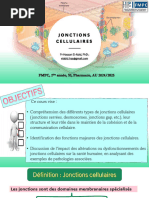 Jonctions Cellulaires et Fonctions | PDF | Membrane cellulaire | Biochimie