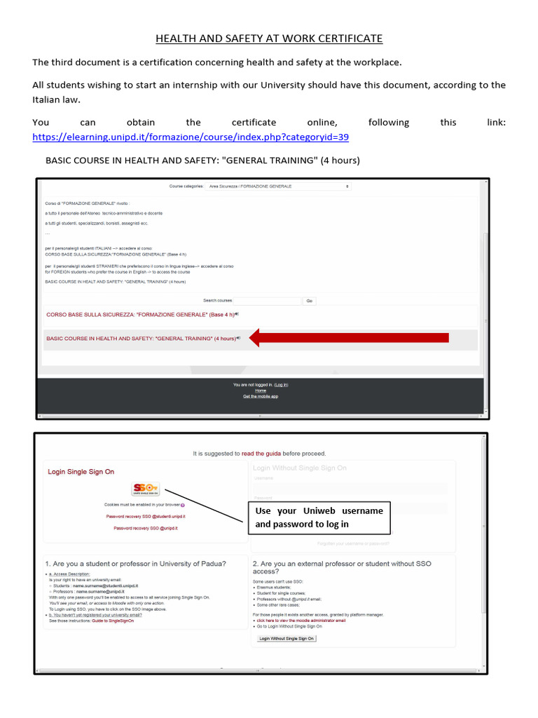 SAFETY AT WORK CERTIFICATE_0 | PDF