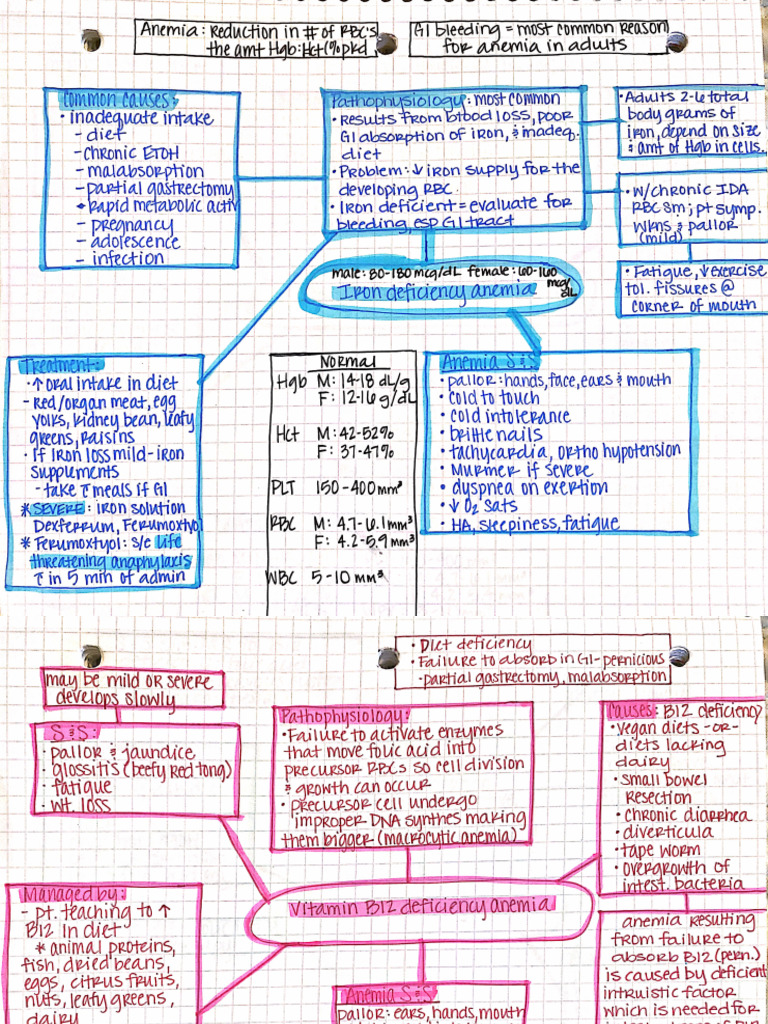 Med Surg Concept Maps | PDF