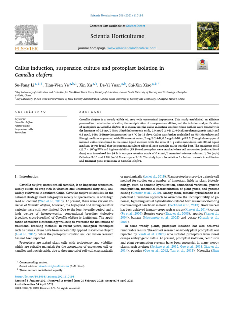 Callus Induction and Protoplast Isolation in Camellia oleifera | PDF ...