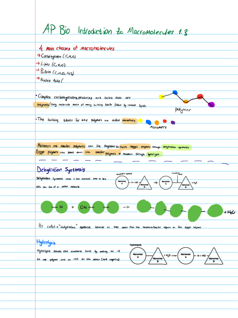 AP Bio 1.3 NOTES | PDF