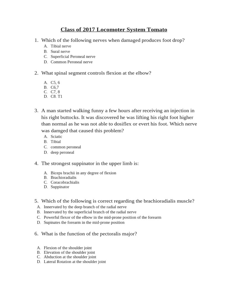 Anatomy Quiz: Nerves and Muscles | PDF | Human Leg | Lower Limb Anatomy