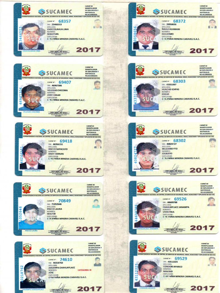 02 Lic. Manip Exp. Himape | PDF