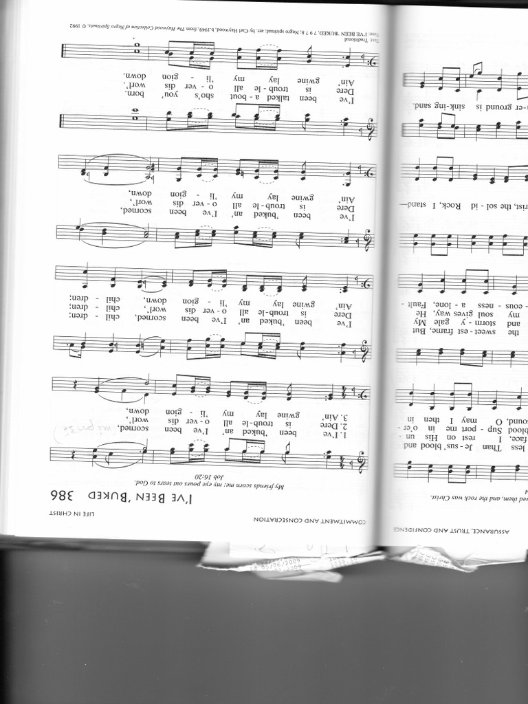 I've Been Buked | PDF