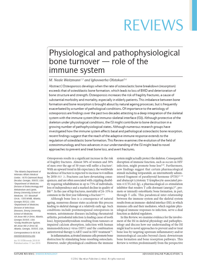 Weitzmann 2016 | PDF | Bone | Osteoporosis