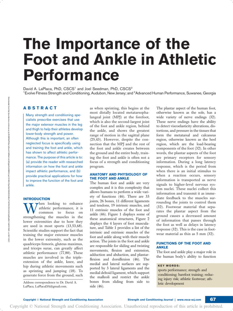 Enhancing Athletic Performance: Foot & Ankle | PDF | Foot | Ankle
