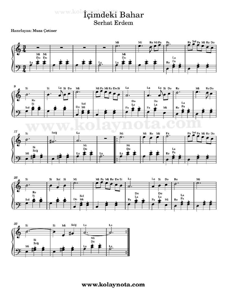 Serhat Erdem - Icimdeki Bahar | PDF