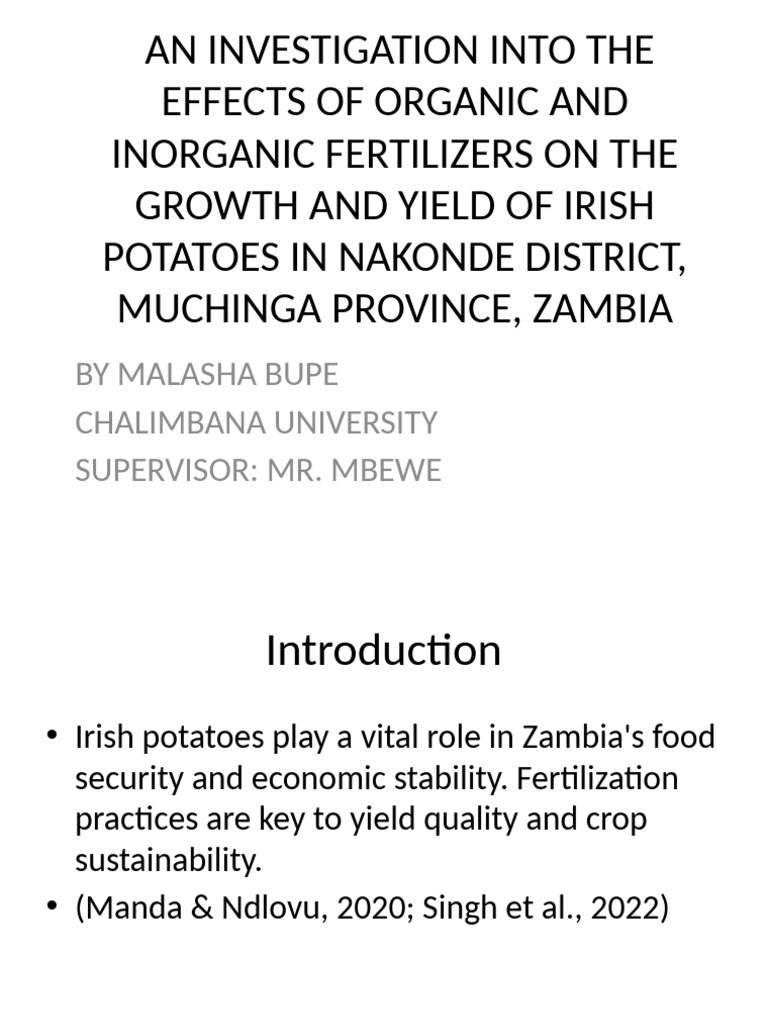 Bupe Presentation Updated | PDF | Fertilizer | Potato