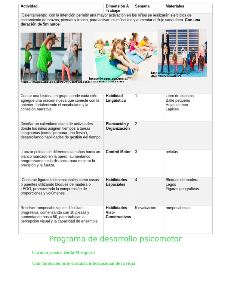 Programa de Desarrollo Psicomotor | PDF | Planificación | Aprendizaje