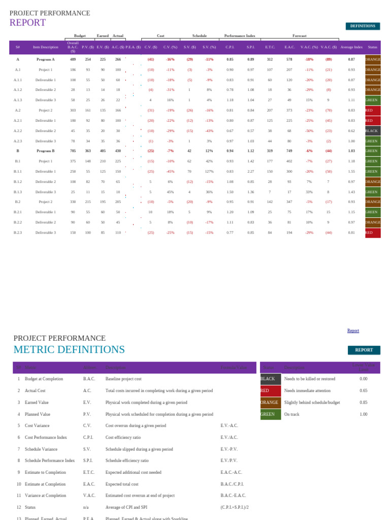 Project Performance Metrics Report | PDF | Pricing