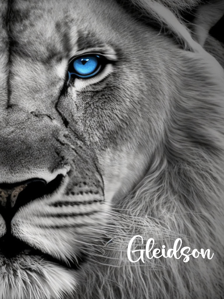 Capas Gleidson | PDF