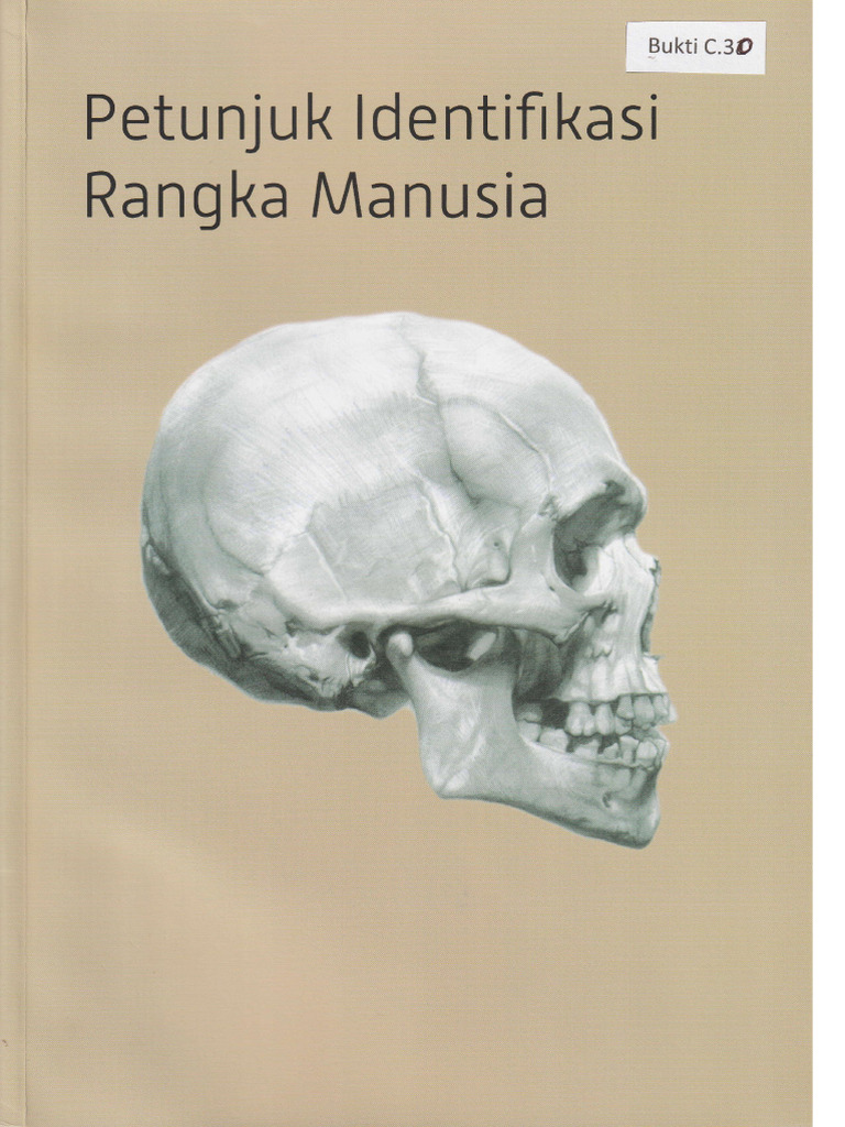 30 Sistem Rangka | PDF