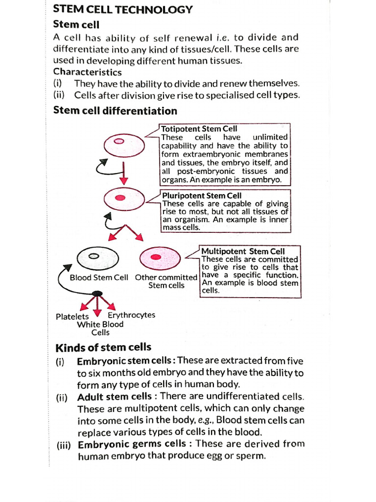 Stem Cell Technology | PDF