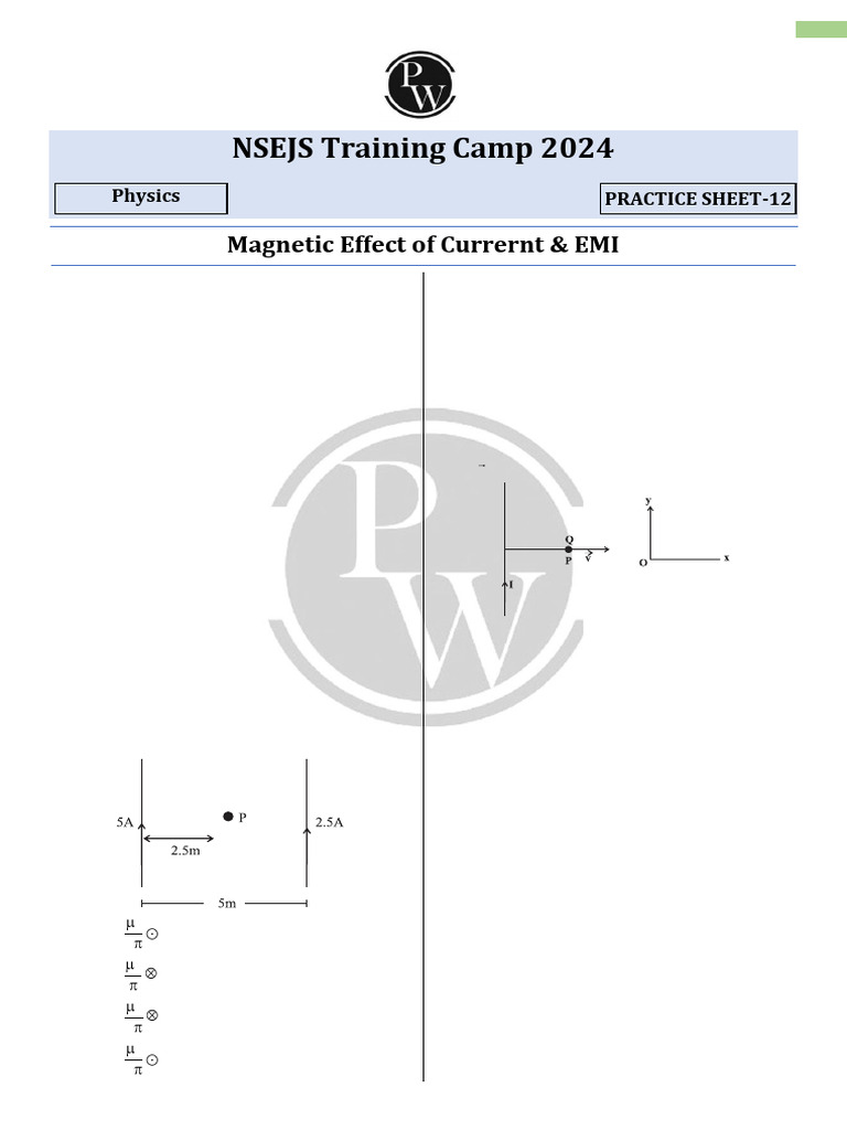 Magnetic Effect of Current & EMI _ Practice Sheet __ (Only PDF) __ NSEJS Training Camp 2024 ...