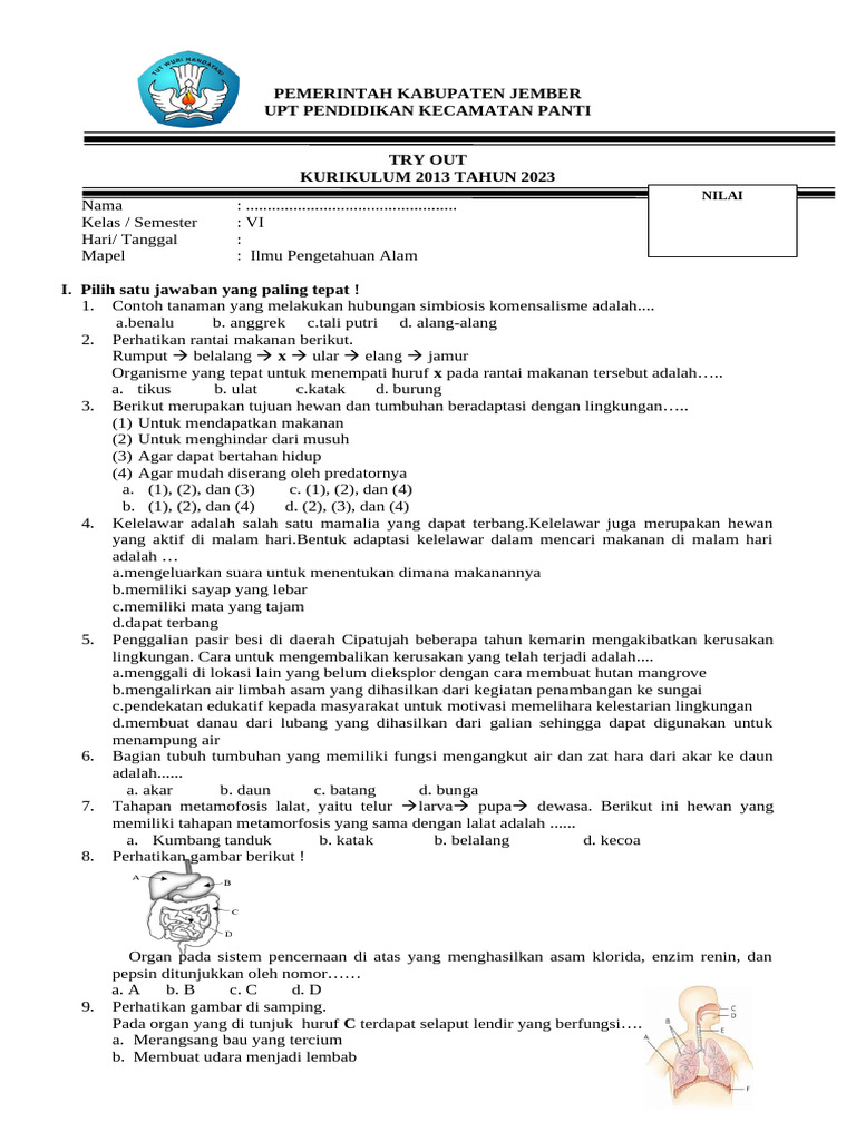 Soal Try Out Ipa 2023 Word | PDF