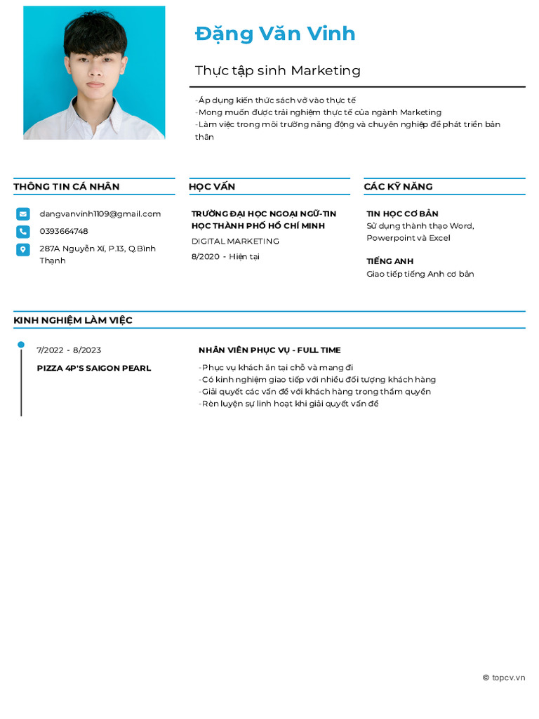 CV Đặng Văn Vinh - CV MARKETING-TopCV - VN | PDF