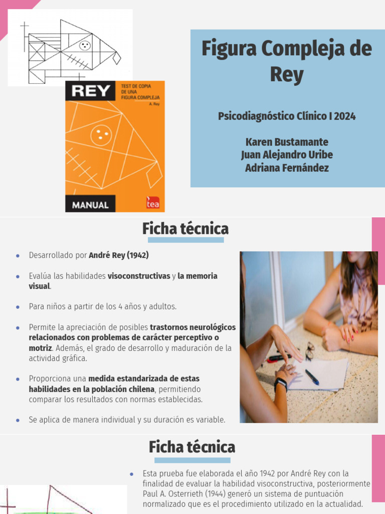 Figura Compleja de Rey 2024 | PDF | Memoria | Cerebro