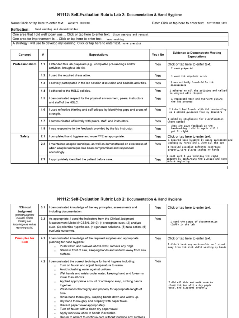 Lab 2 Rubric_Documentation and Medical Asepsis Answer | PDF | Hand Washing